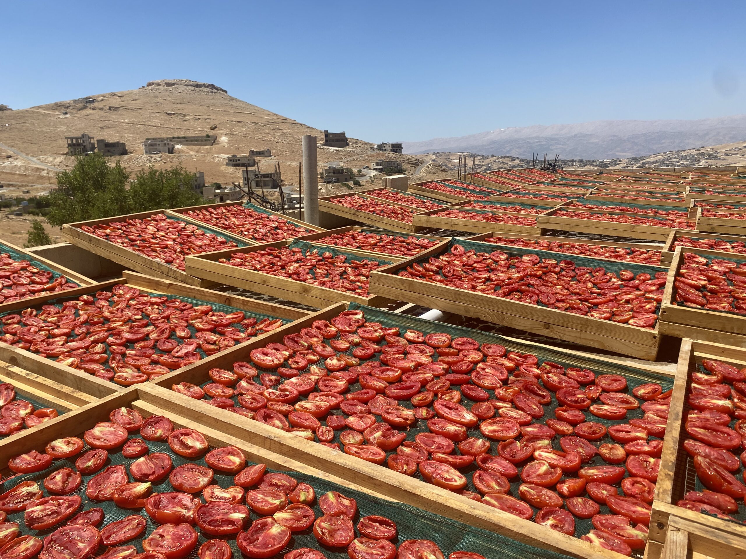 Food System Challenge - Agridev
