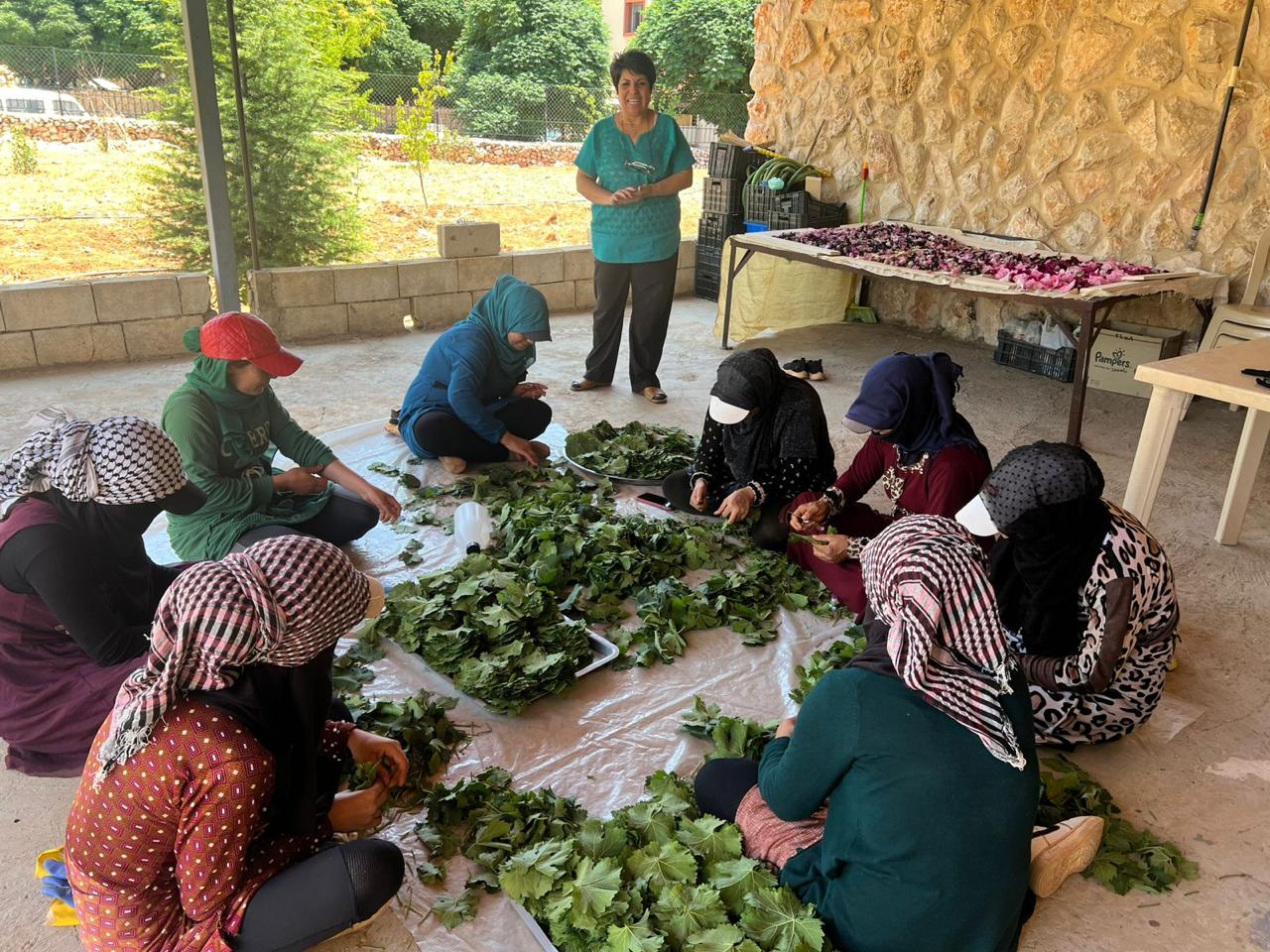 Homestead Production kits- FAO - Agridev